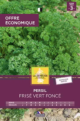 Persil frisé vert foncé | Bricorama