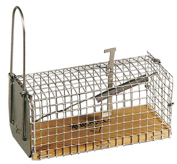 Nasse à souris 12x5x5cm JANY | Bricomarché