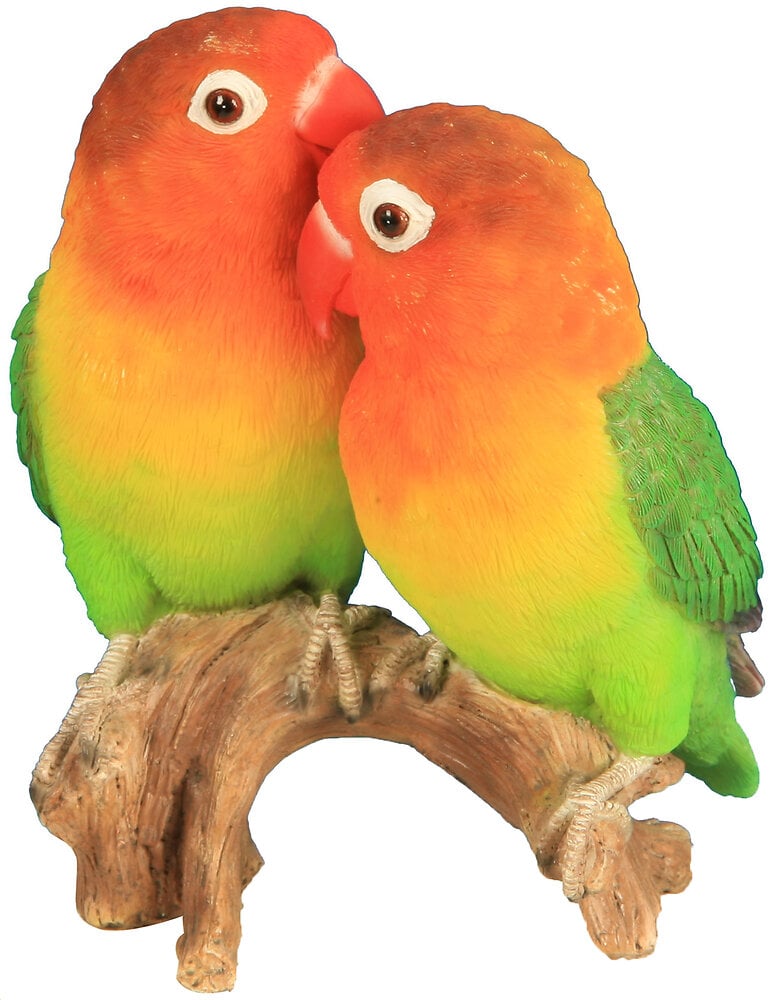 COUPLE INSEPARABLES H13 | Bricomarché