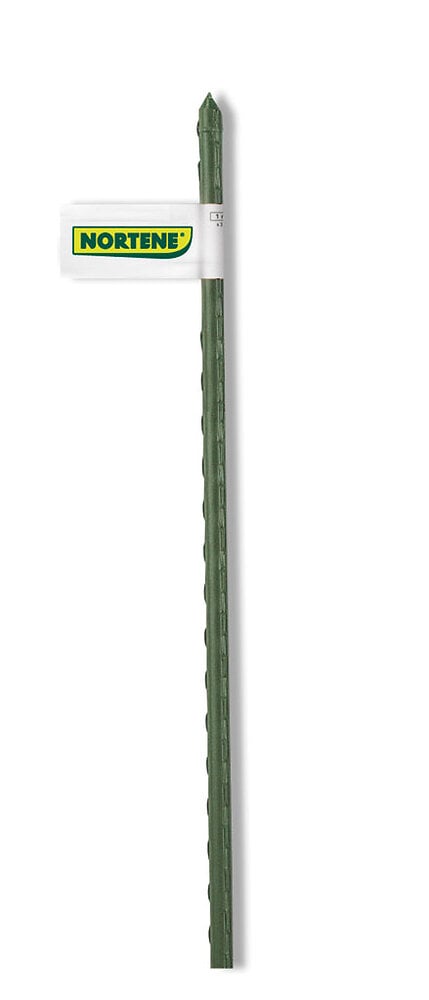 Tuteur acier plastifié 1,5m | Bricorama