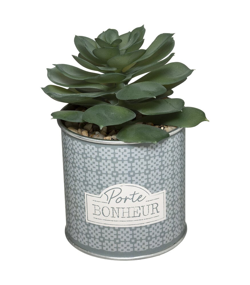 Plante artificielle Pot en Zinc avec Message H 16 cm | Bricorama