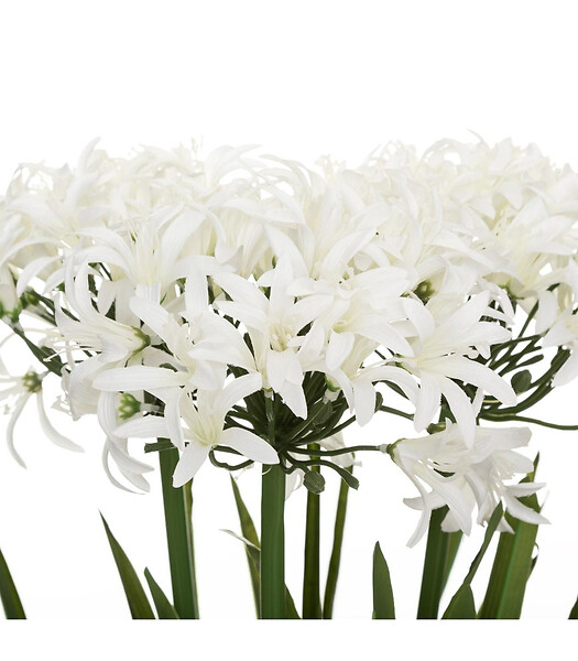 Plante artificielle Agapanthe en pot H 66 cm | Bricorama