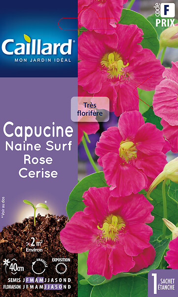 Capucine naine surf rose cerise CAILLARD | Bricomarché