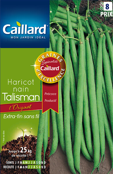 HARICOT NAIN EXTRA-FIN SF TALISMAN L'Original | Bricorama