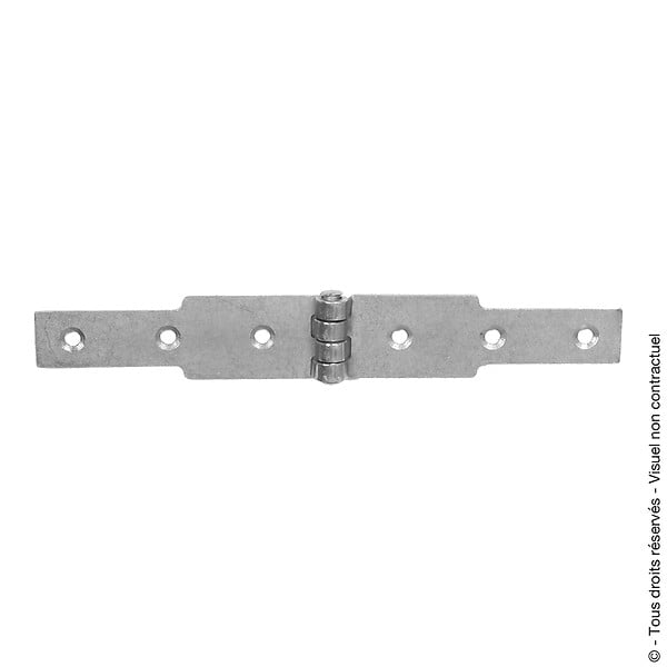 CHARNIERE A CONGE 40x2,5 2xL120mm ZINGUE BLANC | Brico Cash