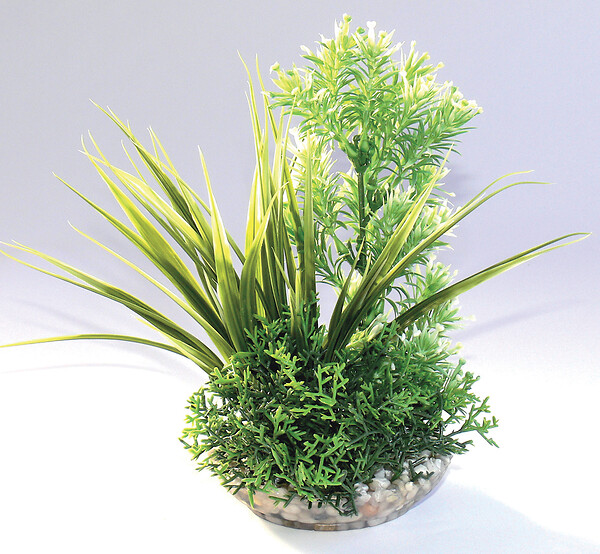 Tyrol composition oasis pour aquarium SYDECO | Bricomarché