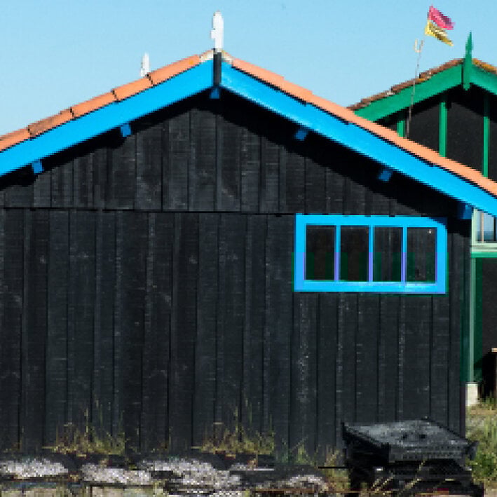 Noir protecteur 2,5L | Bricorama