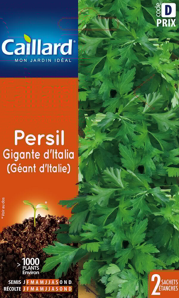 Persil Gigante d'Italia - Géant d'Italie | Bricorama