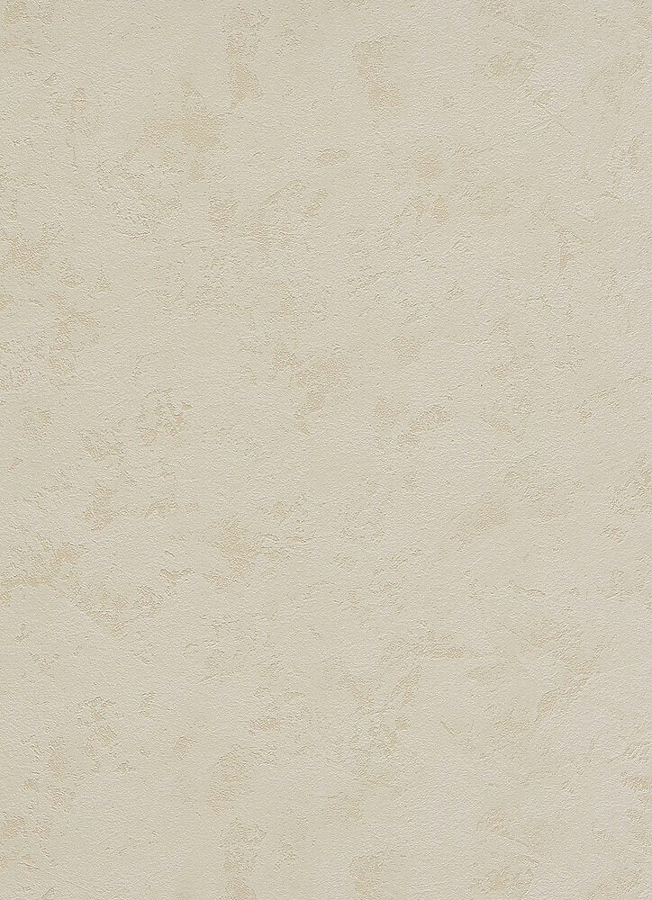 Vinyle expansé sur intissé taloché beige | Bricorama