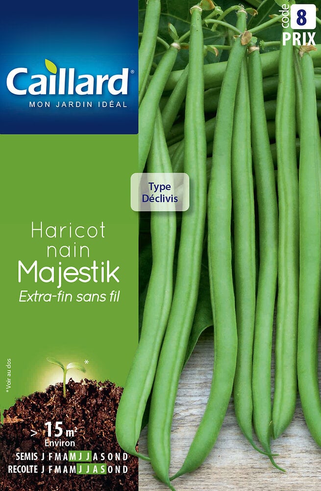 Haricot nain extra-fin sans fil majestik | Bricomarché