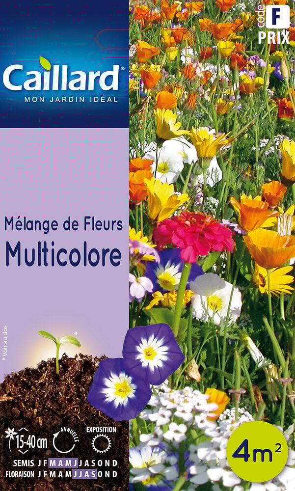 Melange de fleurs multicolore | Bricorama
