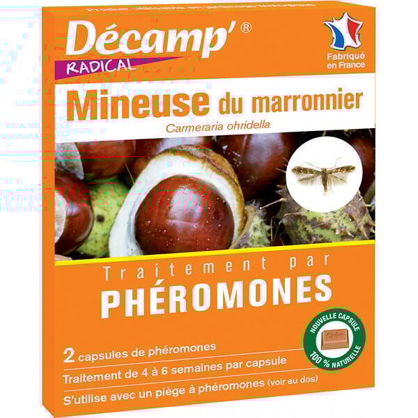 Mineuse du marronnier cameraria ohridella DECAMP | Bricomarché
