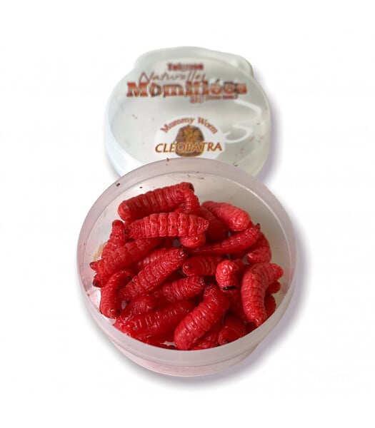 Teigne momifiee rouge PERFECT PÊCHE | Bricomarché