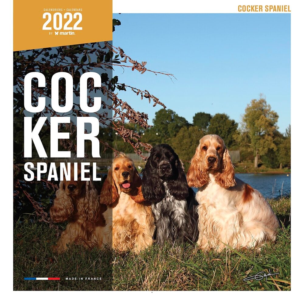 Calendrier - cocker spaniel | Bricomarché