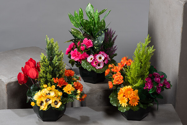 Compo de plante assortie en couleur h 32x25cm 3 ass | Bricomarché