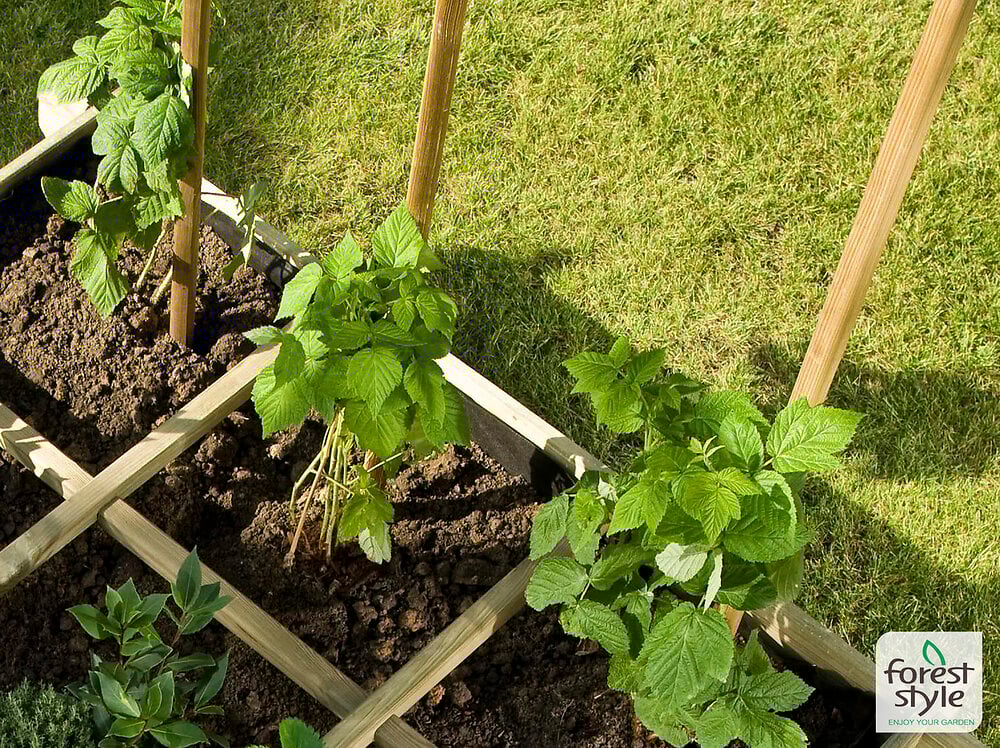Tuteur tomates - Lot de 6 | Bricomarché