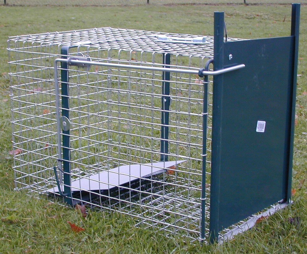 Nasse à fauves - 1 entrée - 60x23x25cm | Bricomarché