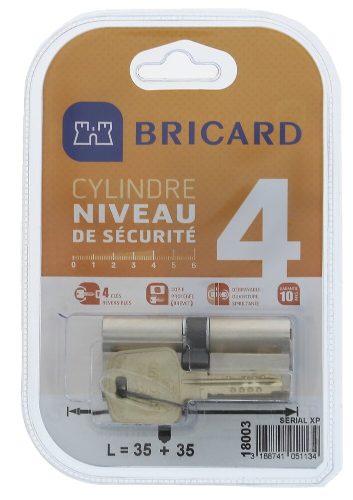 Cylindre de Serrure double entrée Serial Xp 35-35 Nickelé | Bricorama