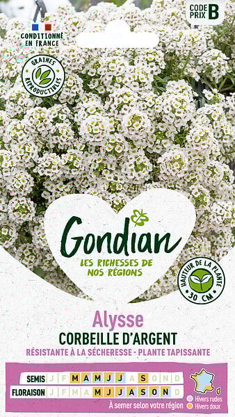 Alysse Corbeille d'Argent Gondian | Bricomarché