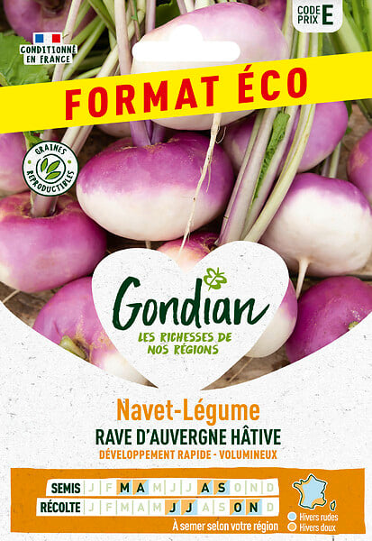 Navet-Légume Rave d'Auvergne Hâtive Gondian | Bricomarché