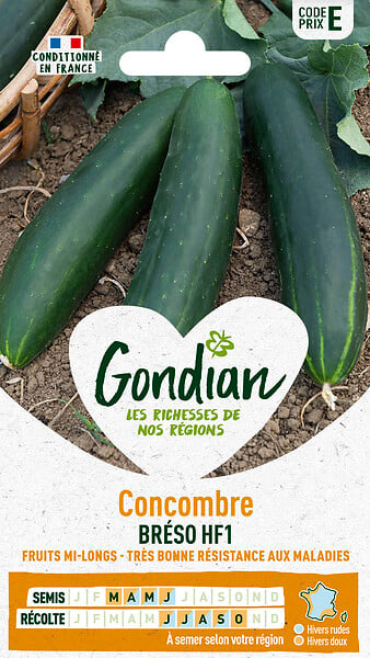 Concombre Breso HF1 Gondian | Bricomarché