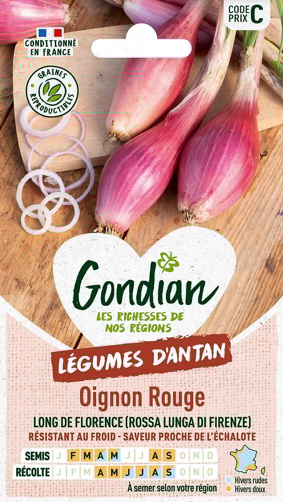 Oignon Rossa di Firenze Rouge Long de Florence Gondian | Bricomarché