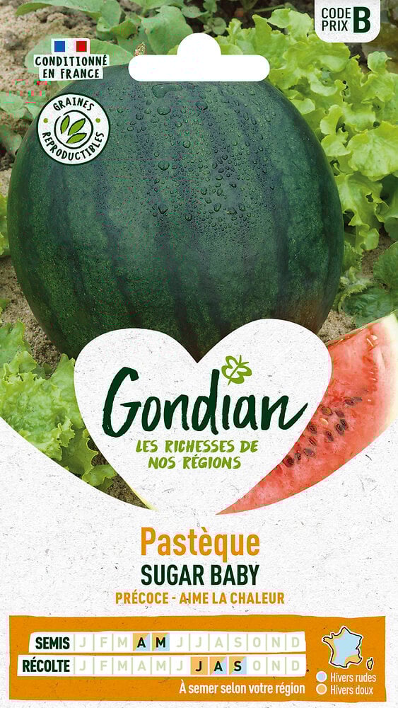 Pastèque Sugar Baby Gondian | Bricomarché