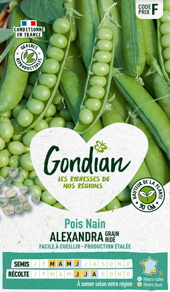 Pois Alexandra Gondian | Bricomarché