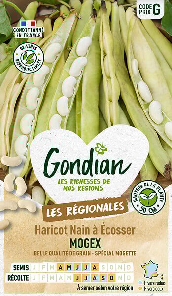 Haricot Mogex Gondian | Bricomarché