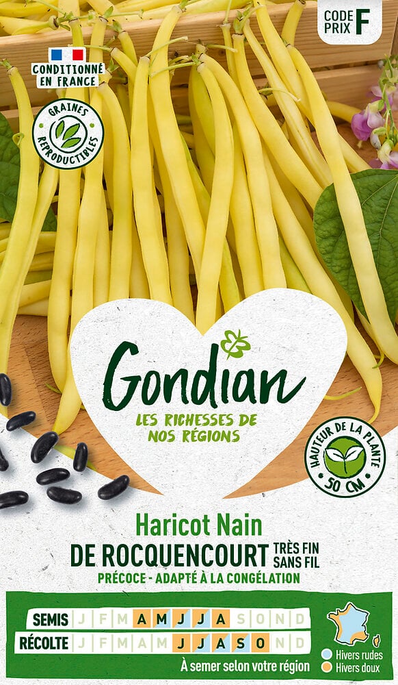 Haricot de Rocquencourt Gondian | Bricomarché