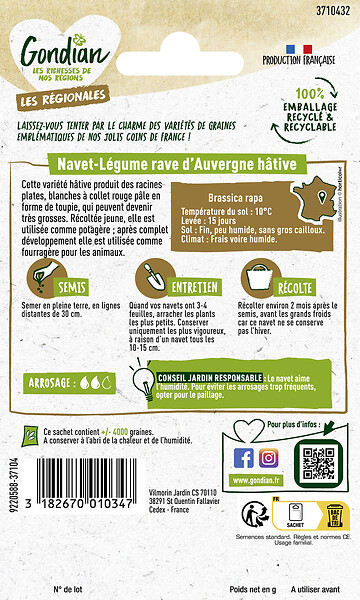 Navet-Légume Rave d'Auvergne Hâtive Gondian | Bricomarché