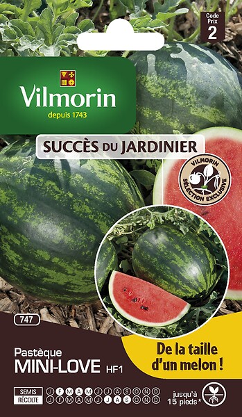Pastèque mini love HF1 | Bricorama