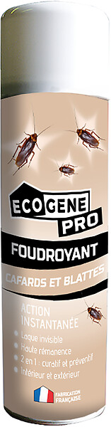 AEROSOL INSECTICIDE ANTI-BLATTES ET CAFARDS 500 ml ECOGENE | Bricomarché