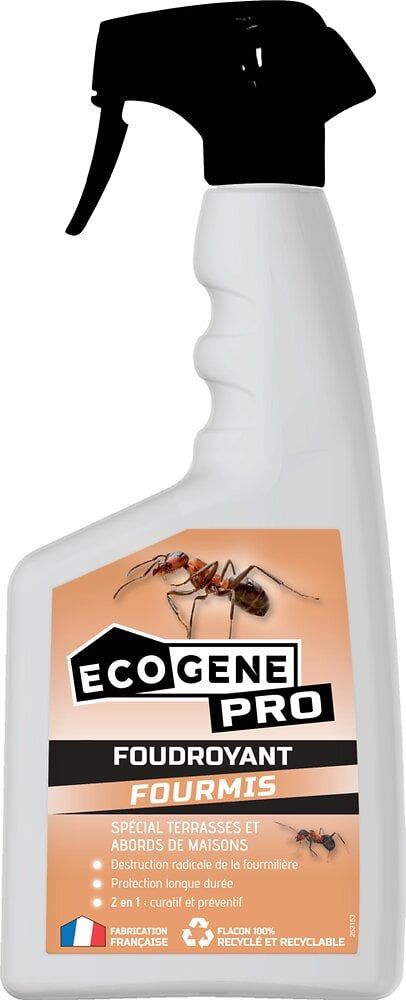 ANTI FOURMIS VAPORISATEUR 500ML | Bricorama