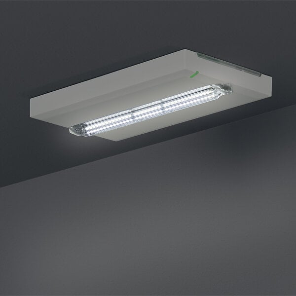 Luminox EATON- Bloc Autonome d'Éclairage de Sécurité SATI et d'anti ...