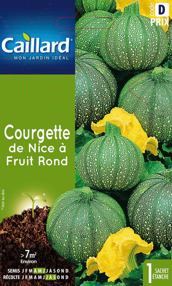 Courgette de Nice à fruit rond | Bricorama