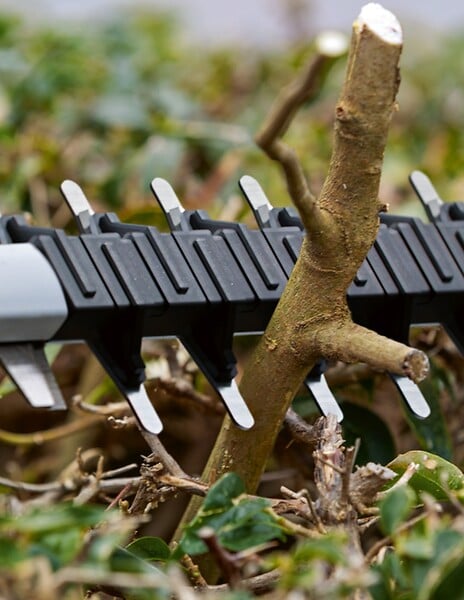 Taille Haie BOSCH 06008C9000 GHE 18V-60 - 60 cm Professional (machine ...