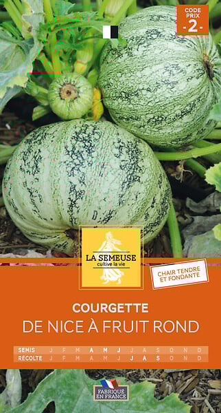 Courgette de Nice à fruit rond | Bricorama