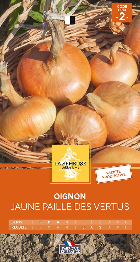 Oignon jaune paille des vertus | Bricomarché