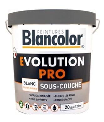 Blancolor evolution pro sous couche 20kg | Bricorama