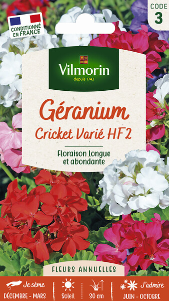 Géranium Cricket Varié Vilmorin | Bricomarché