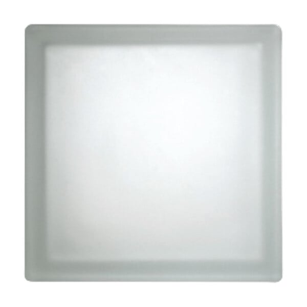 Glassblocks Luxfera brique de verre 19x19x8 cm, translucide mat ...