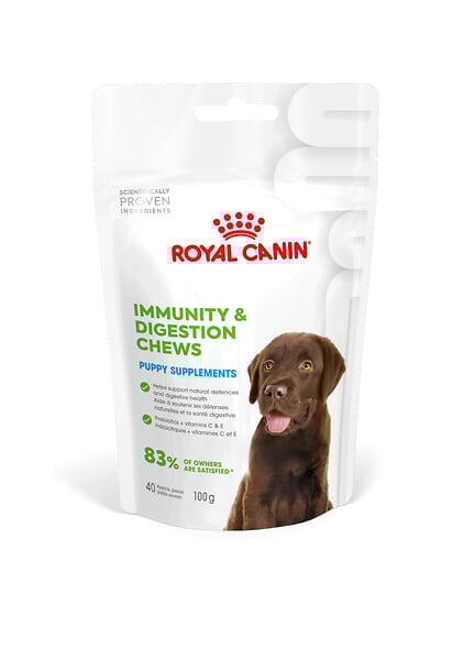 Puppy immunity & digestion supplement 100g | Bricorama
