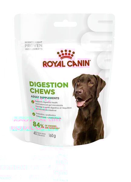 Adult digestion supplement 160g ROYAL CANIN | Bricomarché
