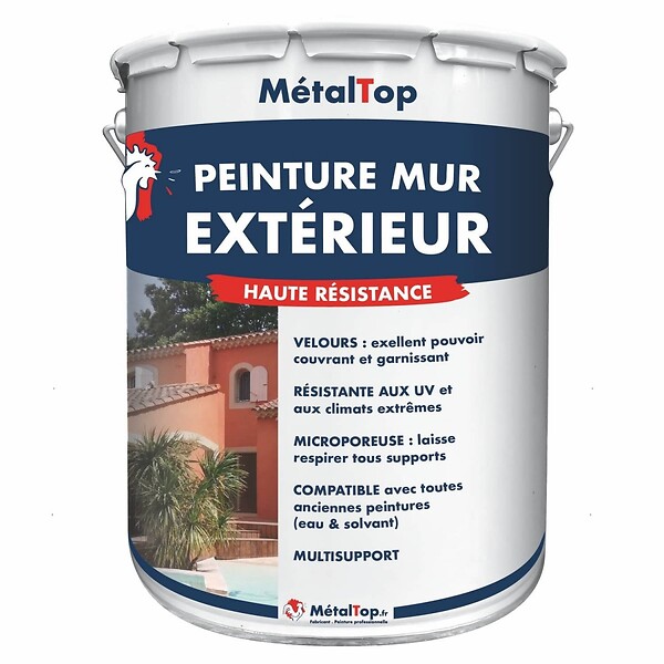 Peinture Mur Exterieur - Telegris 2 - RAL 7046 - Pot 1L | Bricomarché