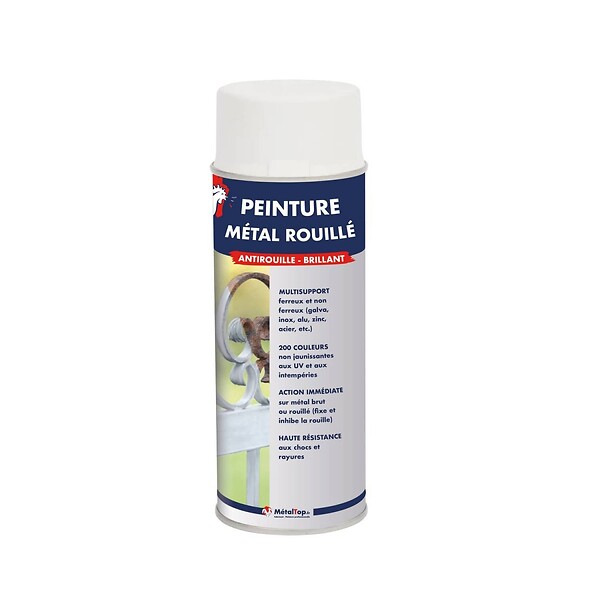 Peinture Metal Rouille - Brun fauve - RAL 8007 - Bombe 400mL | Bricomarché