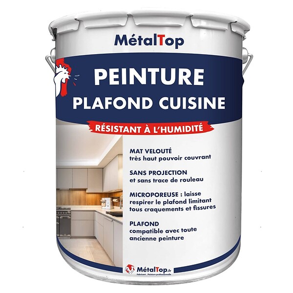 Peinture Plafond Cuisine - Telegris 2 - RAL 7046 - Pot 5L METALTOP ...
