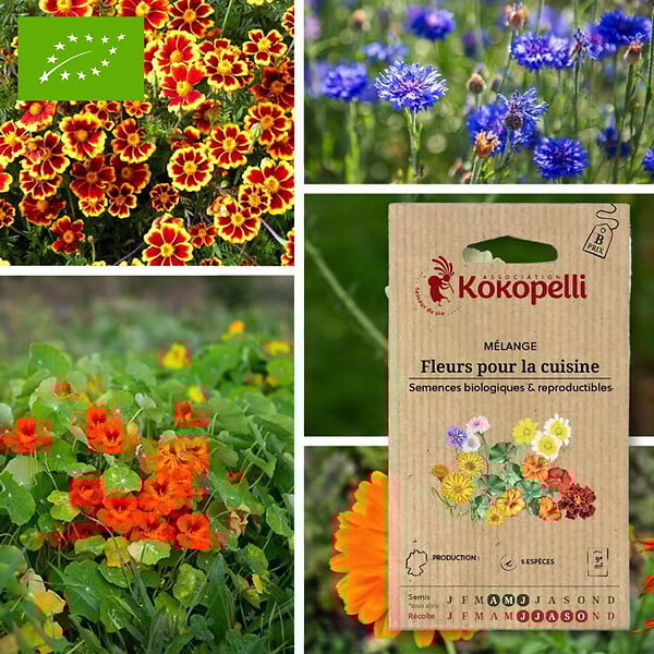 Mélange Fleurs pour la cuisine- Graines bio à semer ASSOCIATION ...