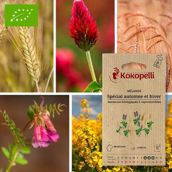 Mélange Spécial Automne et Hiver- Graines bio à semer ASSOCIATION ...