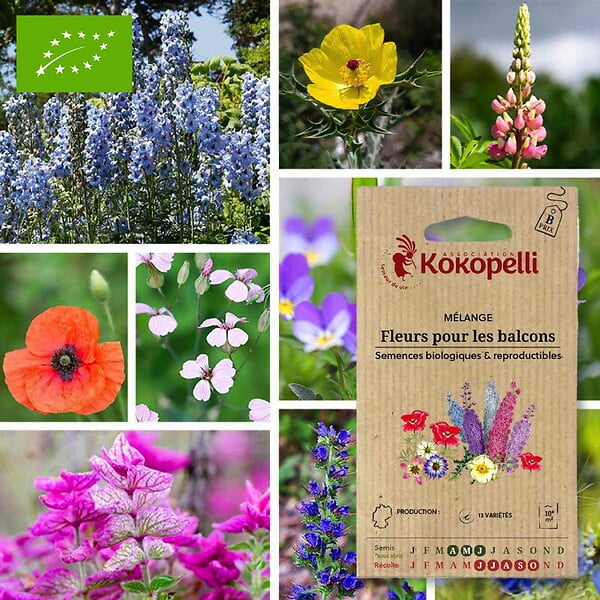 Mélange Fleurs pour les balcons- Graines bio à semer ASSOCIATION ...
